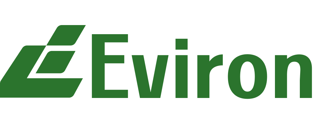 Eviron - Consulting | IT Services | Digital Transformation